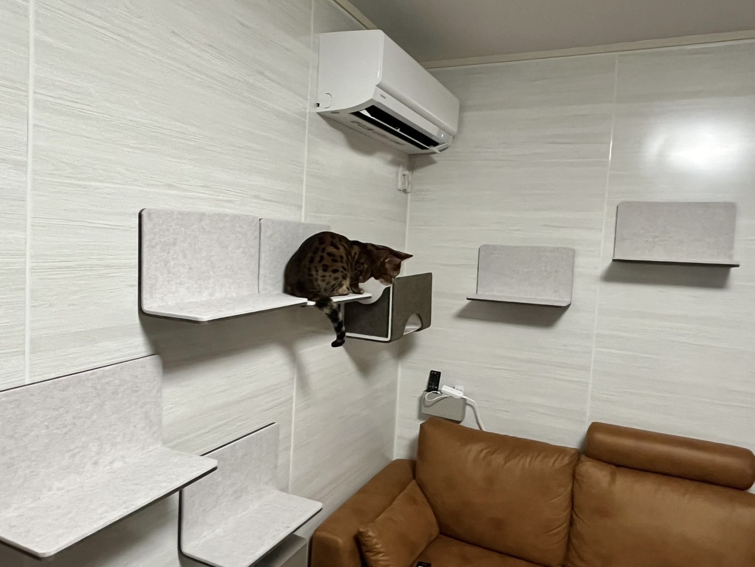 吹き抜けを部屋にする間取り変更リフォーム｜ペットと過ごす空間づくり | 北摂でフルリノベ・リフォーム・塗装のことならWall house ...